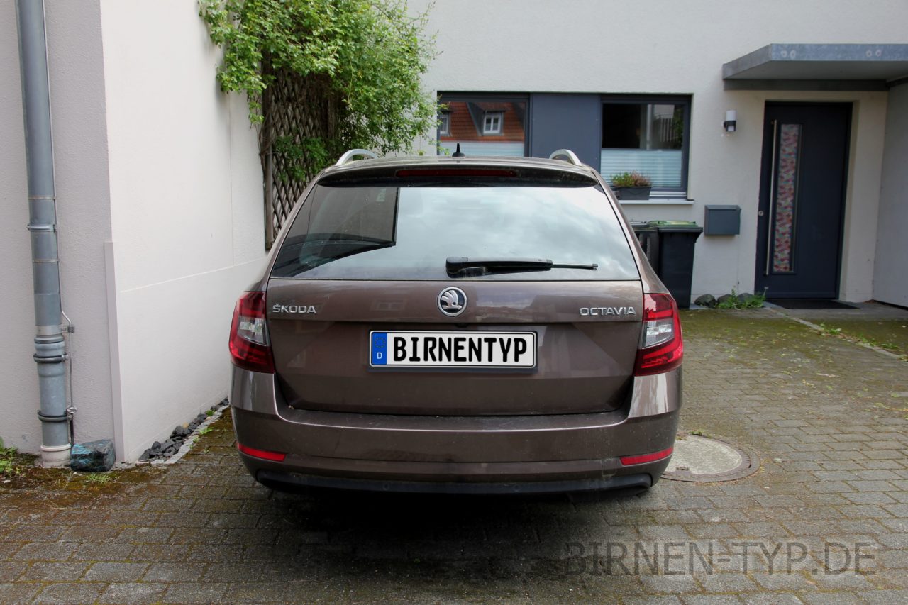 Liste mit allen Birnen für den Škoda Octavia (3. Gen., Typ: 5E, vor UND ...